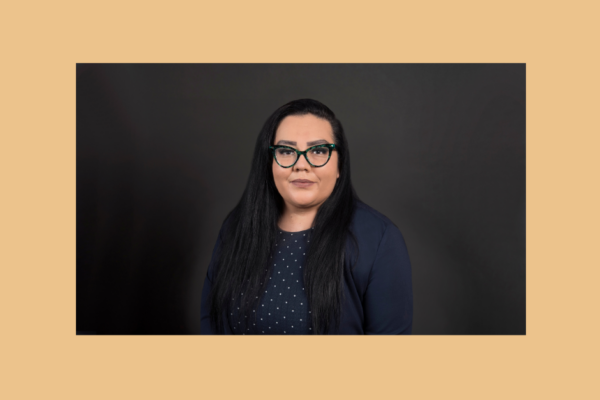 Supporting Survivors of Domestic Violence, four vignettes of successful ...